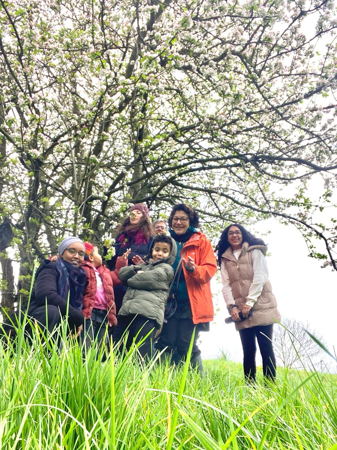 Spring Programme at St. Raph’s – Sufra NW London